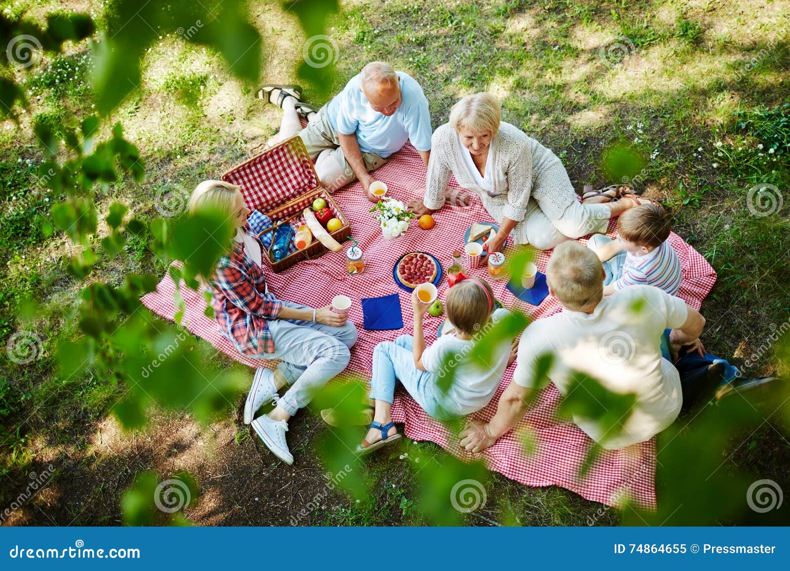 Family picnic stock image. Image of gathering, served - 74864655