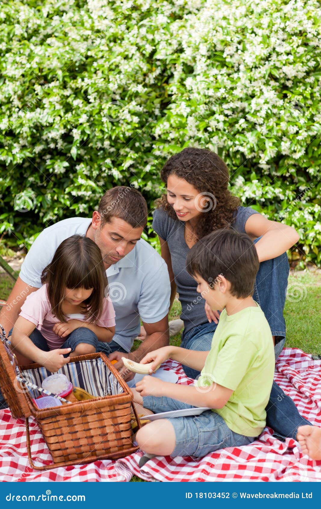 Family Picnicking in the Garden Stock Photo - Image of mother, outdoor ...