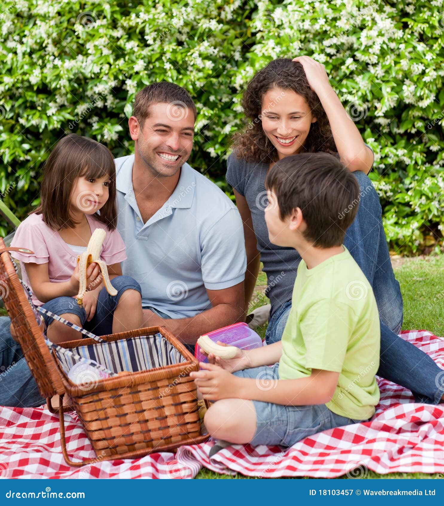 Family Picnicking in the Garden Stock Image - Image of countryside ...