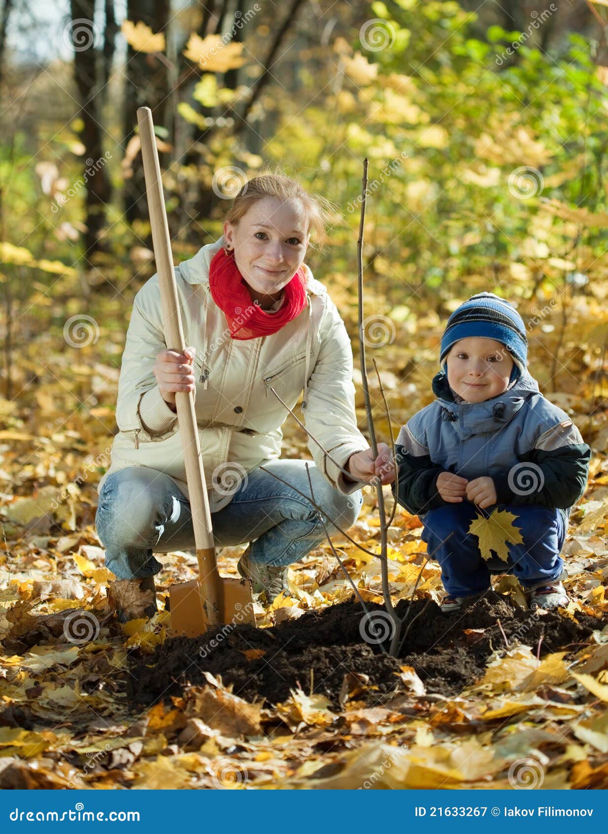 Family Planting Tree in Autumn Stock Image - Image of ecology, mother ...