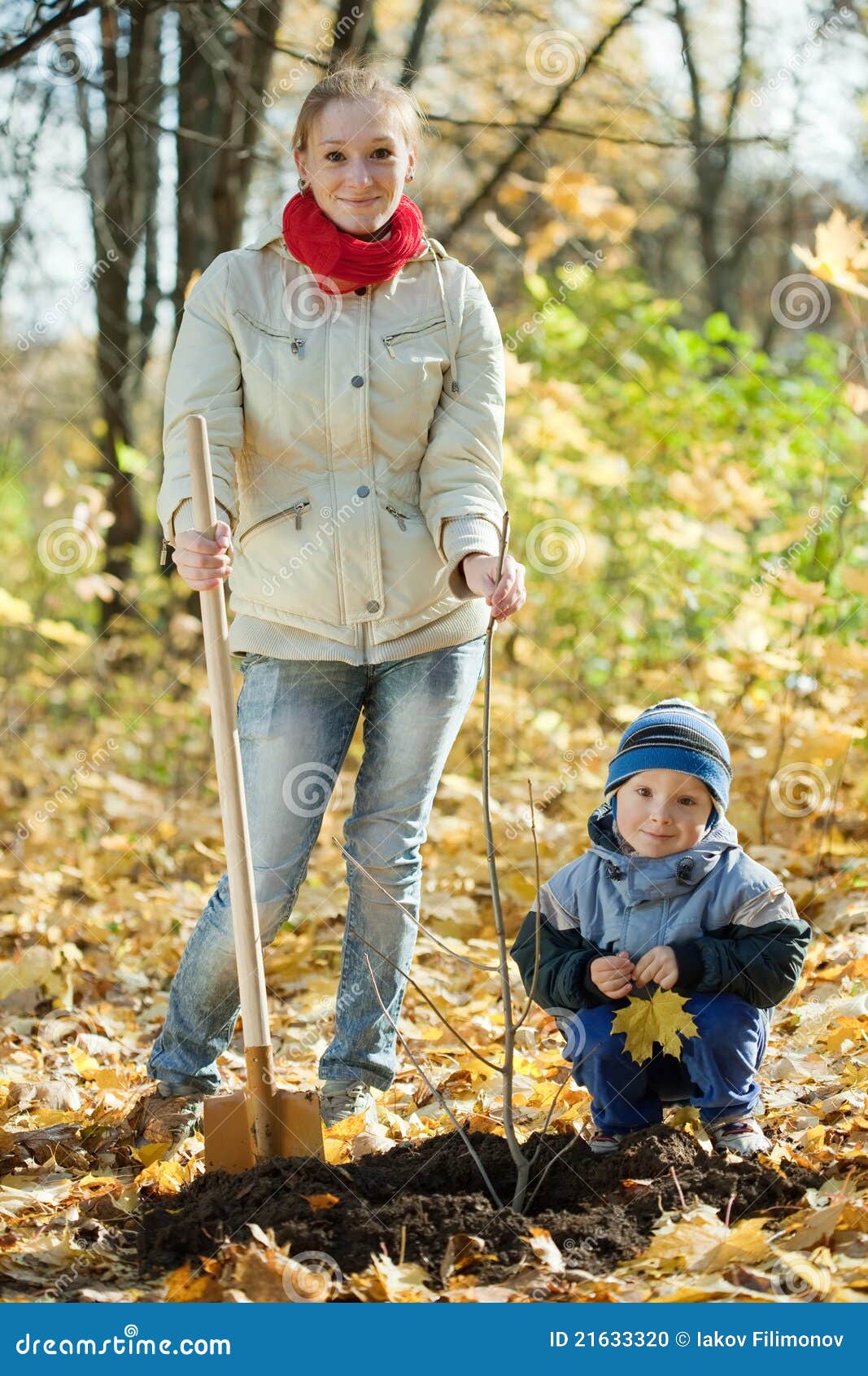 Family Planting Tree in Autumn Stock Photo - Image of cultivation ...