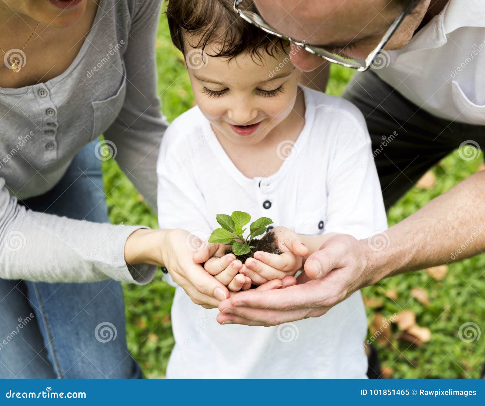 Family Planting a Tree Together Stock Image - Image of environment ...