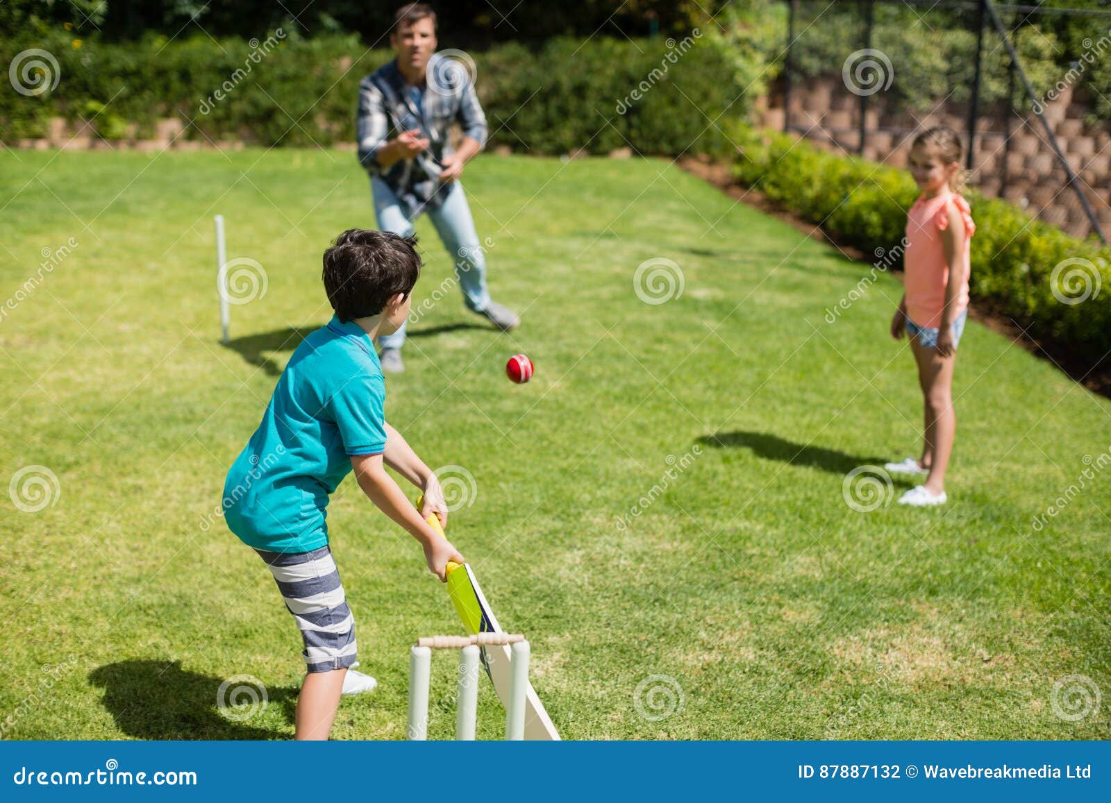 Family Playing Cricket in Park Stock Photo - Image of caucasian, bating ...