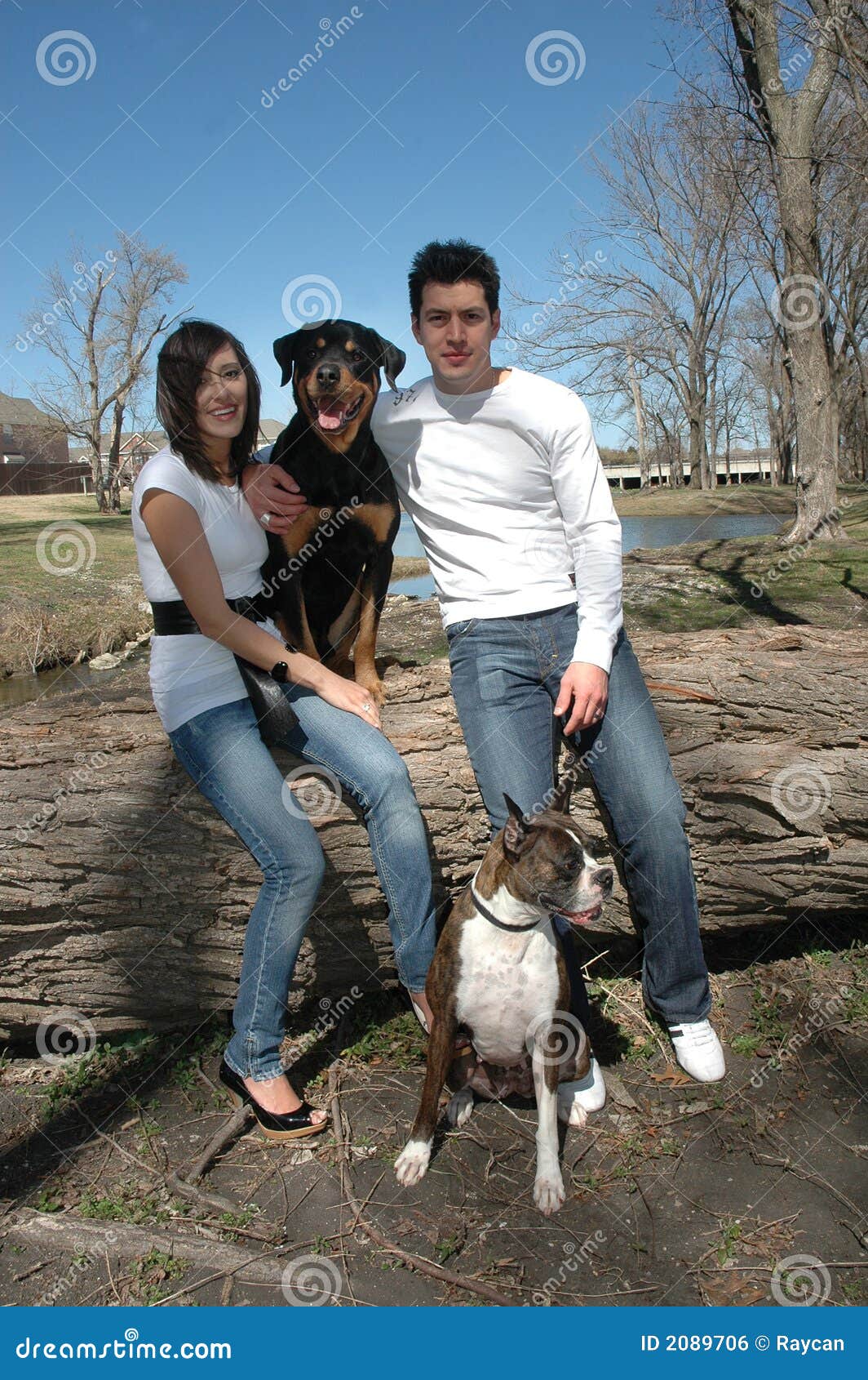 Family Portrait with Dogs stock photo. Image of fashion - 2089706