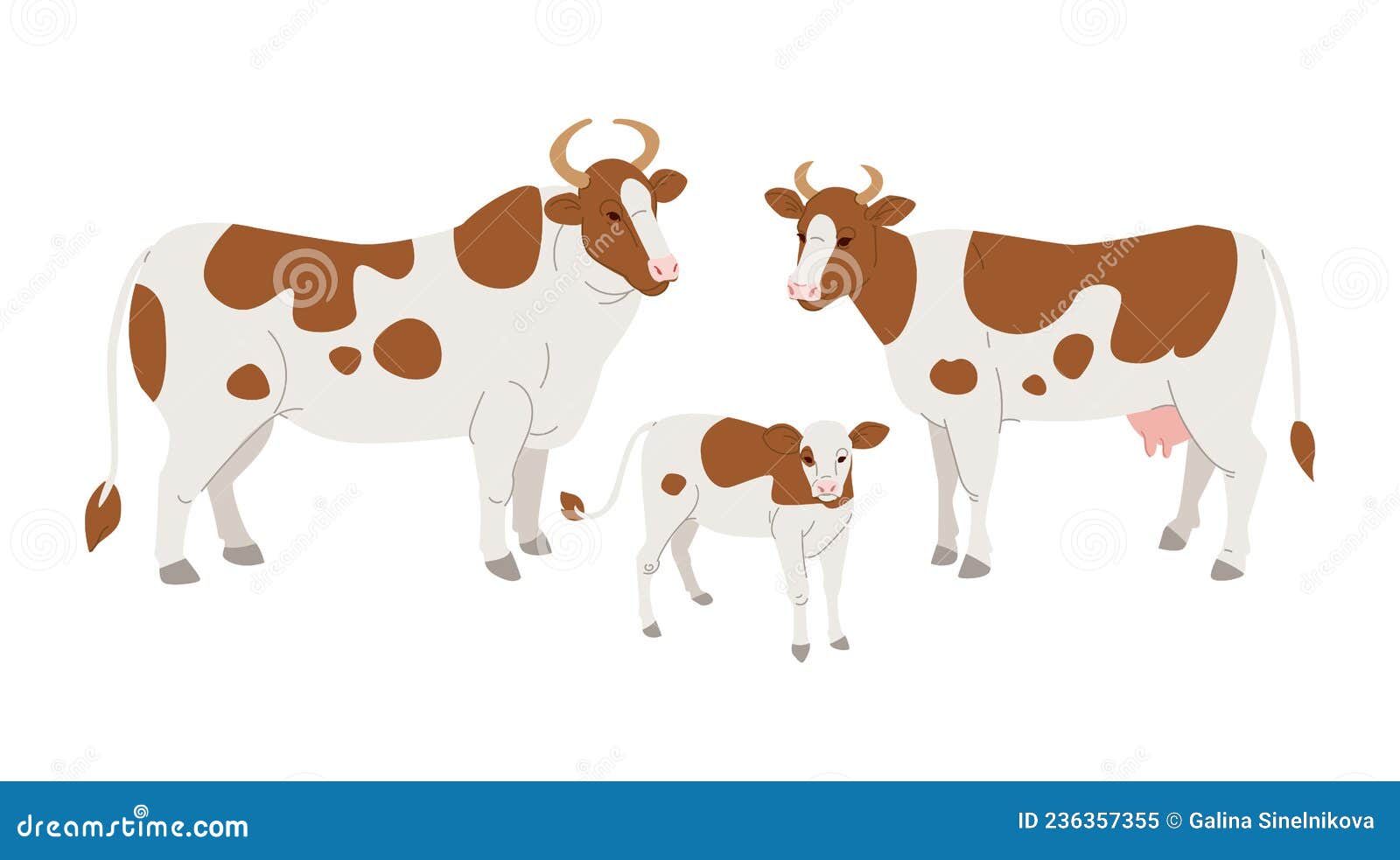 Family Red Cows Set, Isolated. Vector Illustration Stock Vector ...