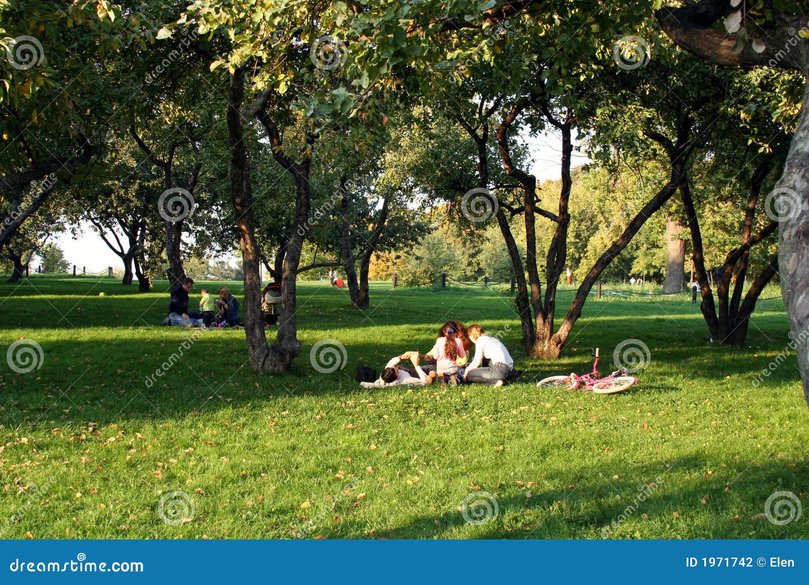 Family rest in park stock photo. Image of handsome, green - 1971742