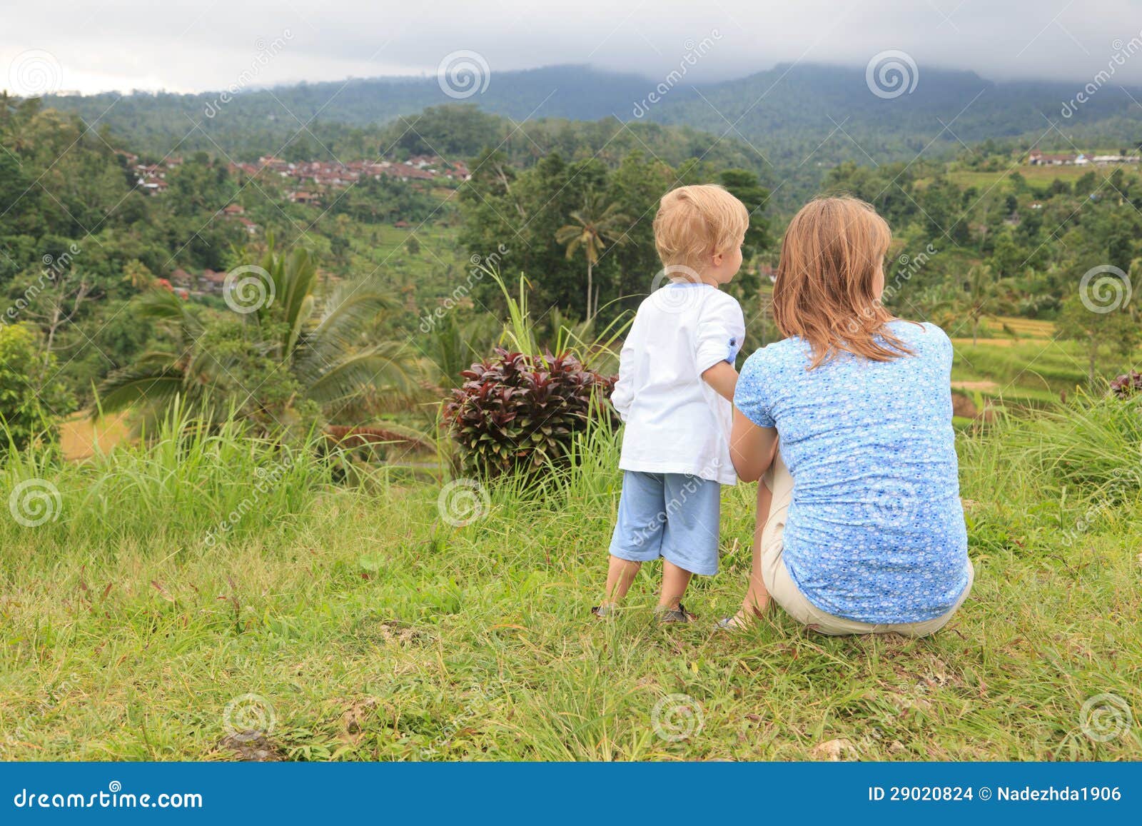 Family in rice fields stock photo. Image of scene, landscape - 29020824