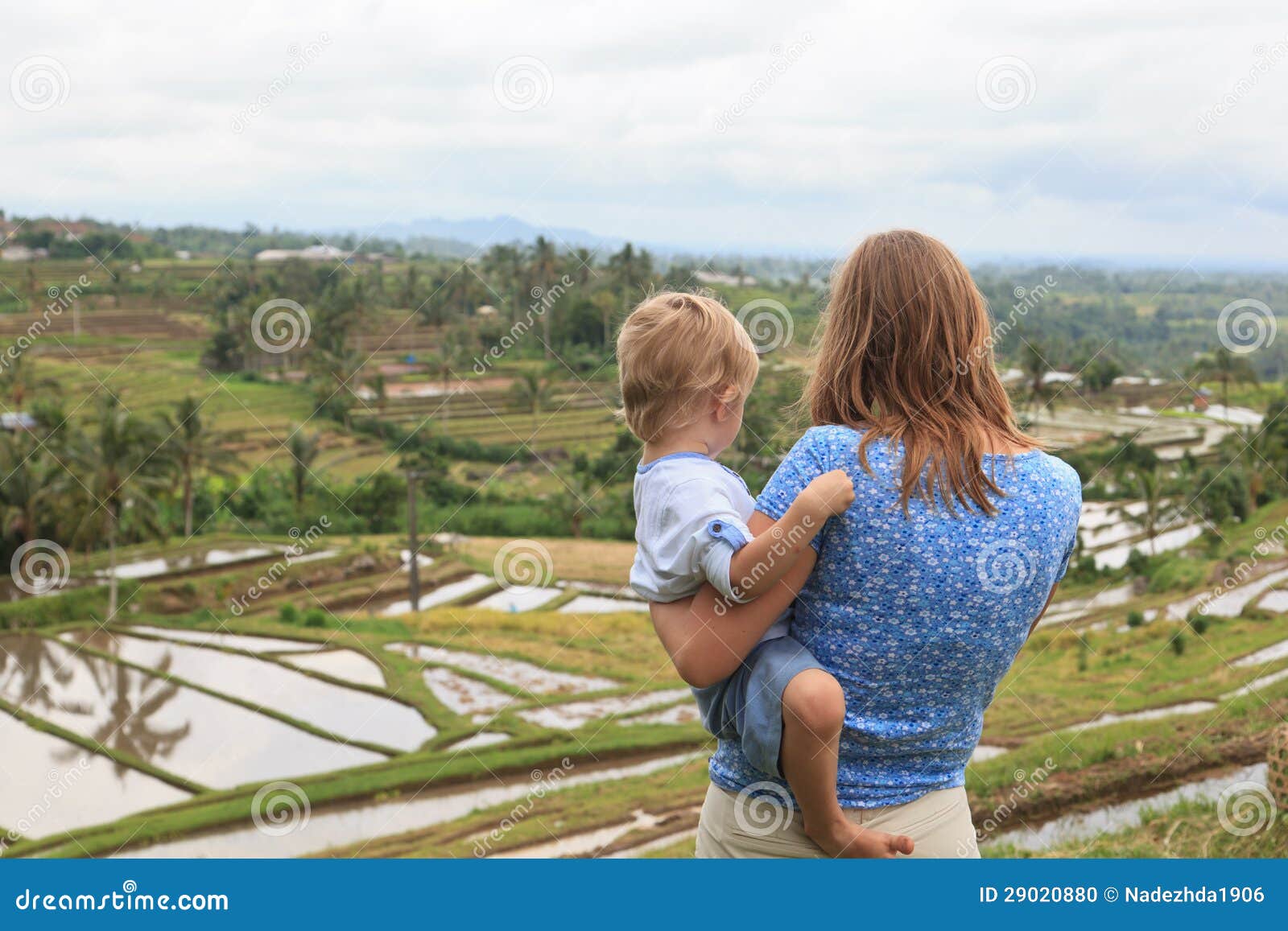 Family in rice fields stock photo. Image of indonesia - 29020880