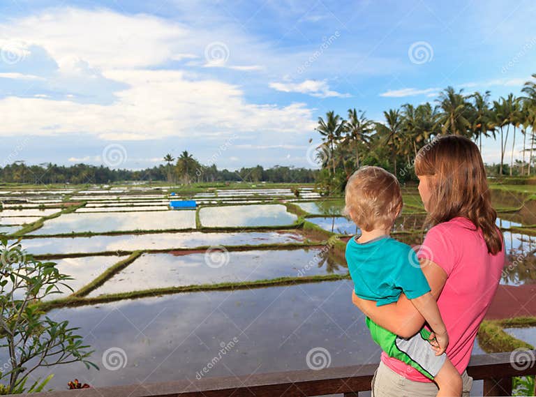 Family in rice fields stock image. Image of looking, indonesia - 29297317