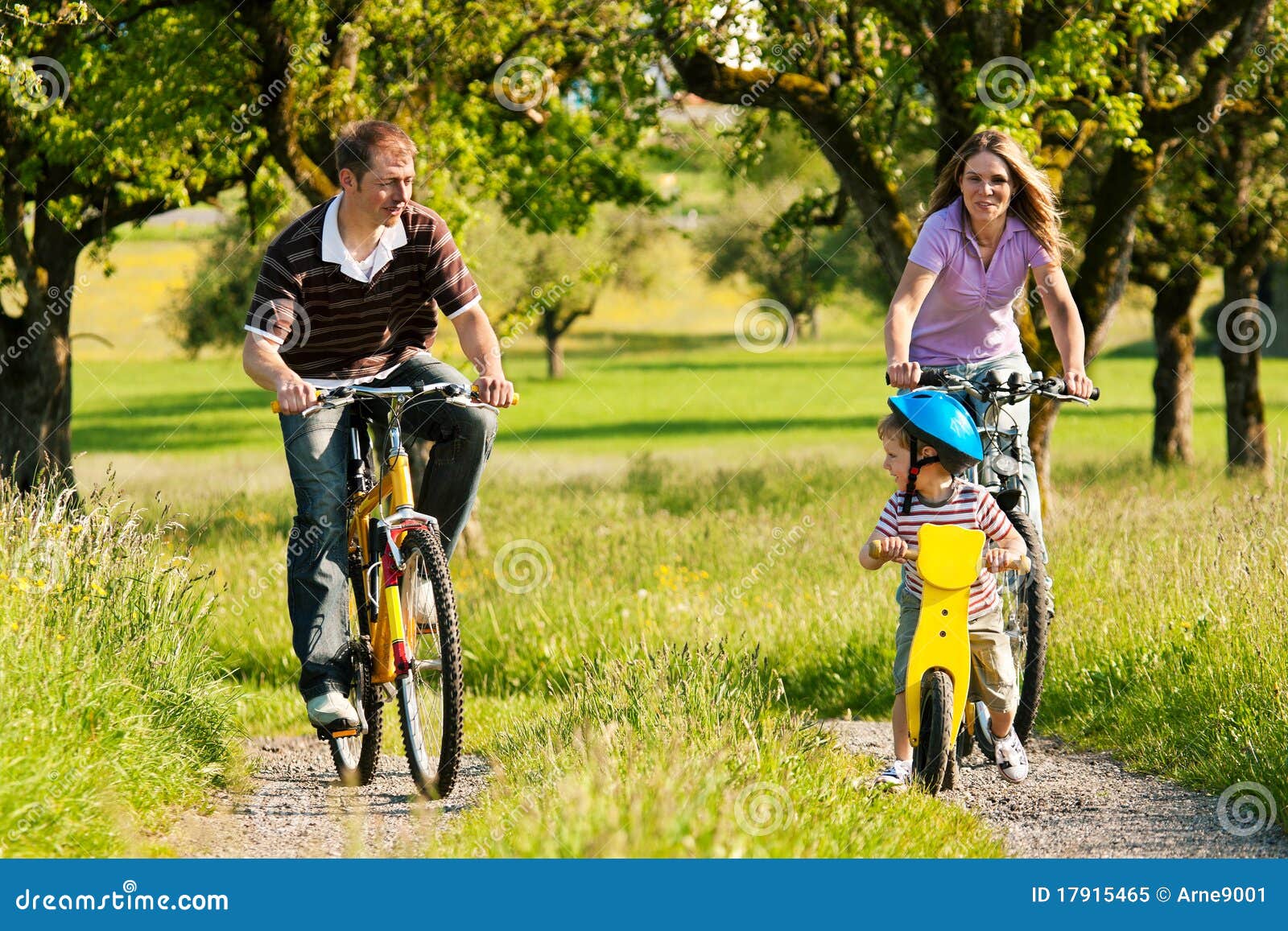 Family Riding Bicycles in Summer Stock Image - Image of father, green ...