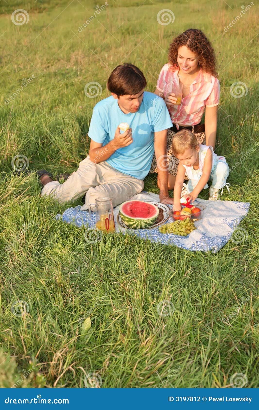 Family`s picnic stock photo. Image of husband, grapes - 3197812
