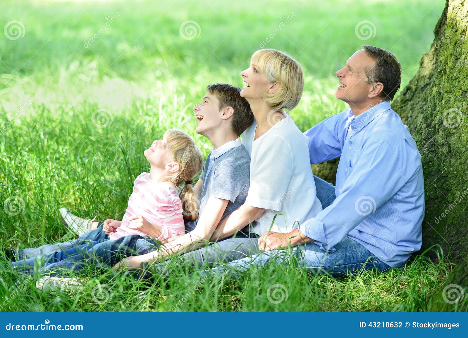 Family Sitting in Shade Under the Tree Stock Photo - Image of mature ...