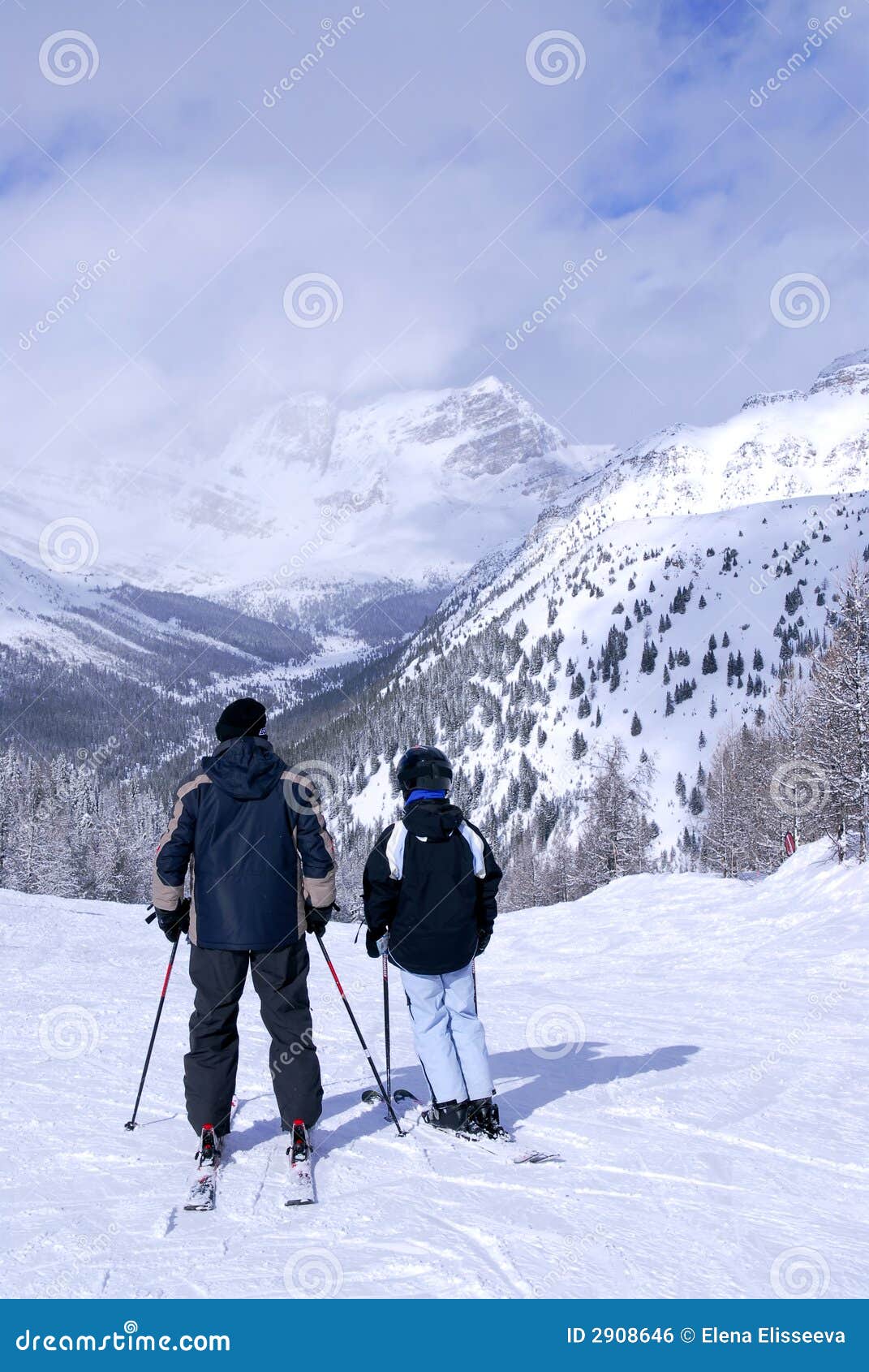 Family skiing stock photo. Image of scenery, enjoying - 2908646