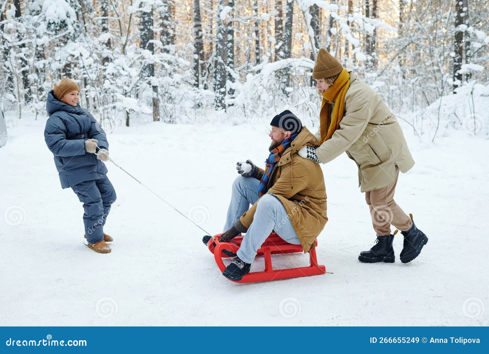 Family Sledding in Park in Winter Stock Image - Image of season, nature ...