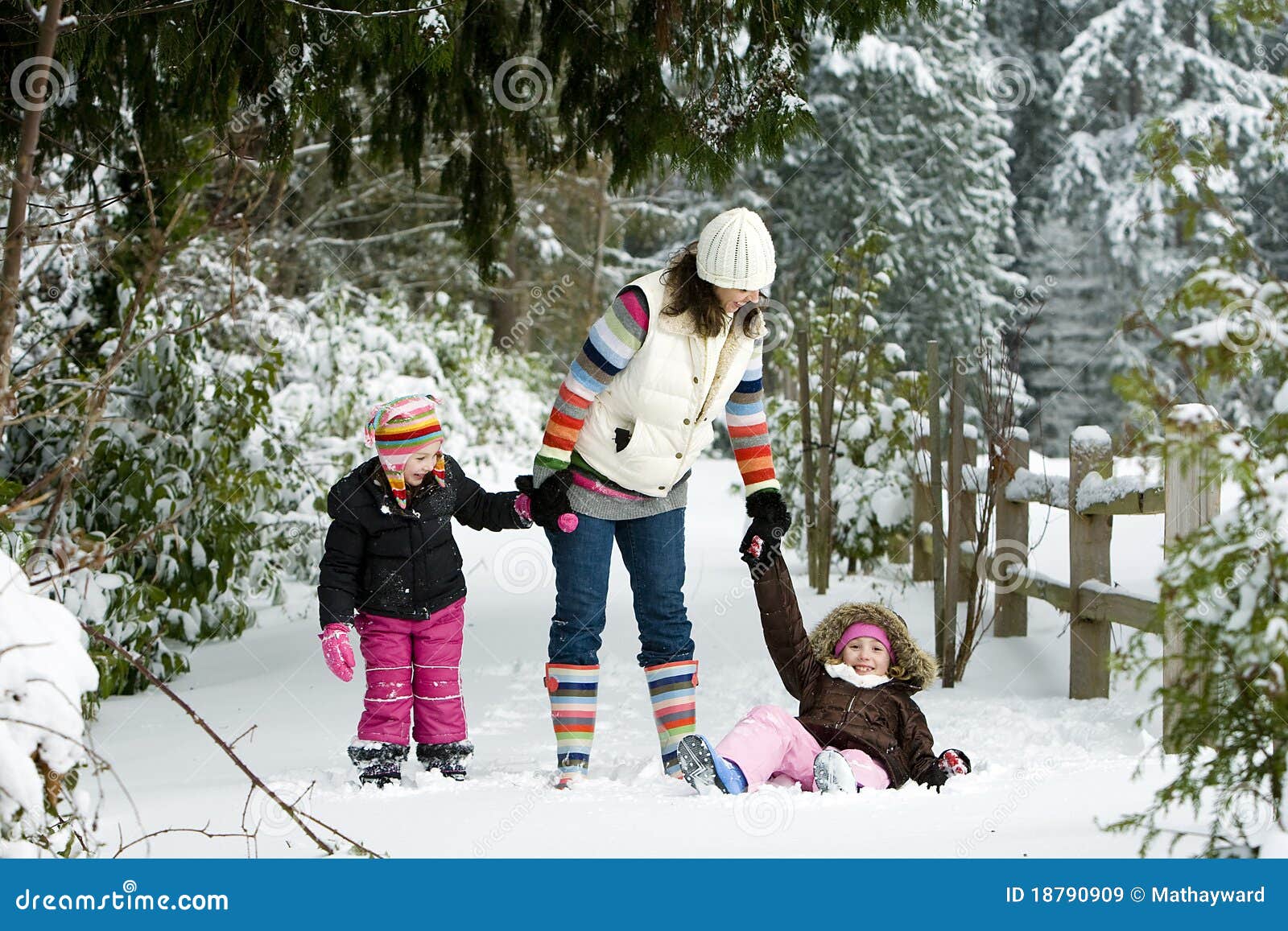 Family in snow stock image. Image of play, slip, silly - 18790909