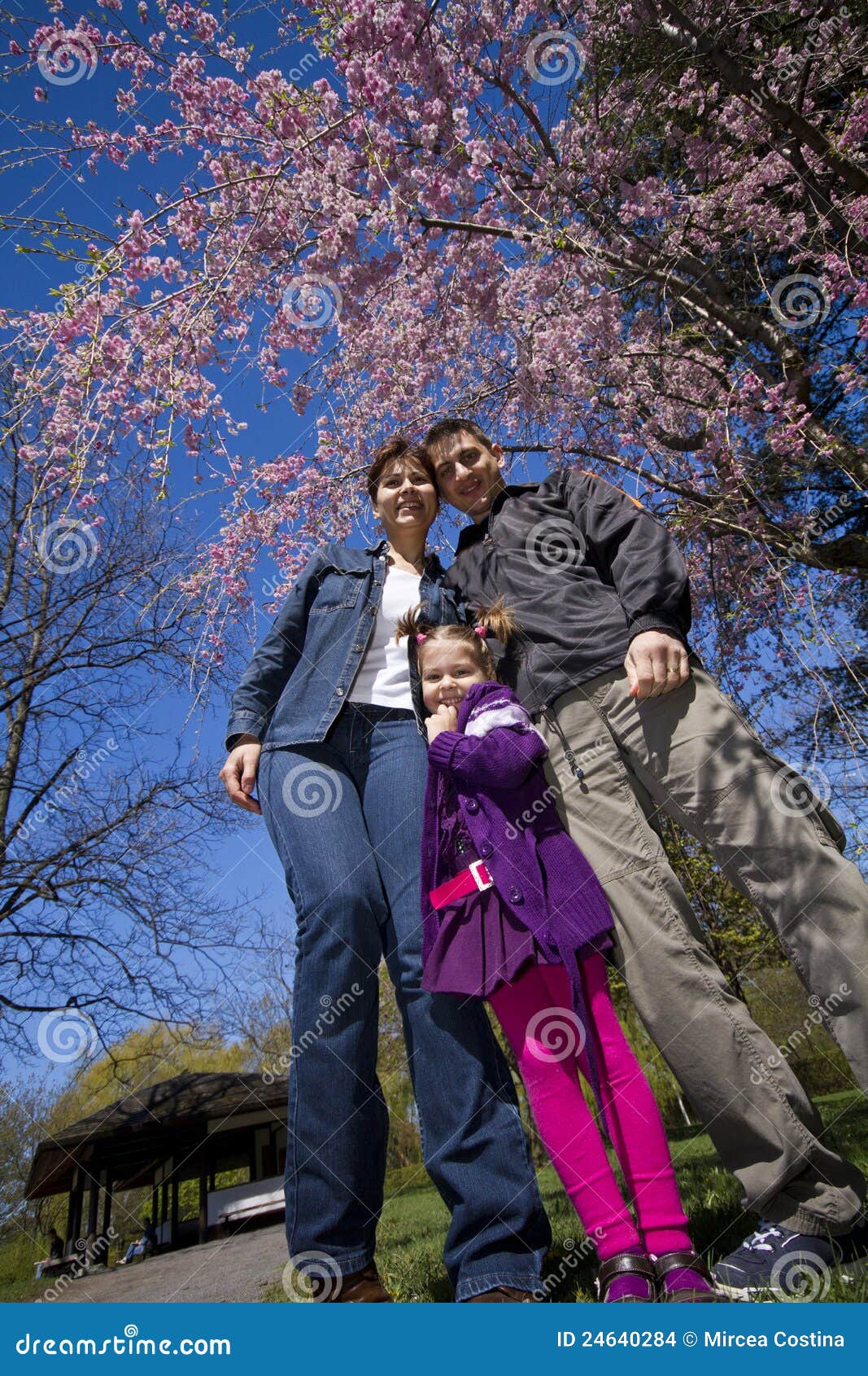 Family in spring stock photo. Image of dandelion, happiness - 24640284