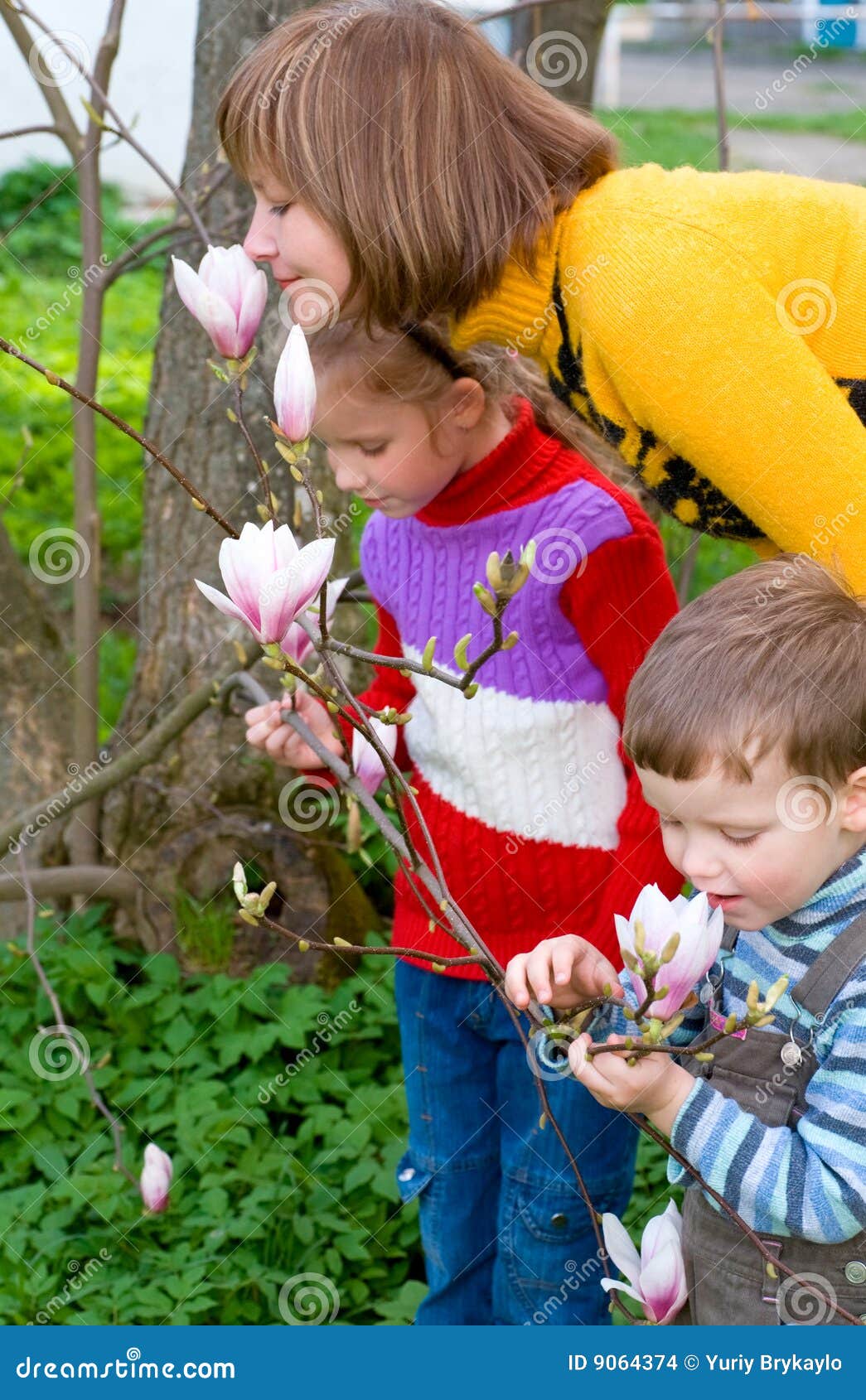 Family in spring park stock photo. Image of pastime, pleasure - 9064374