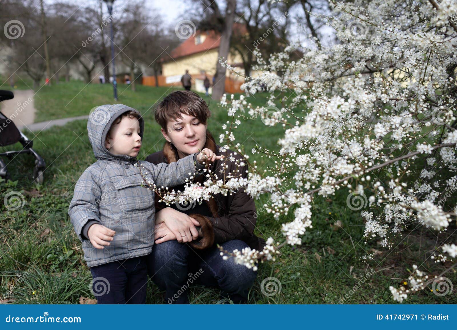 Family in spring park stock image. Image of meadow, family - 41742971