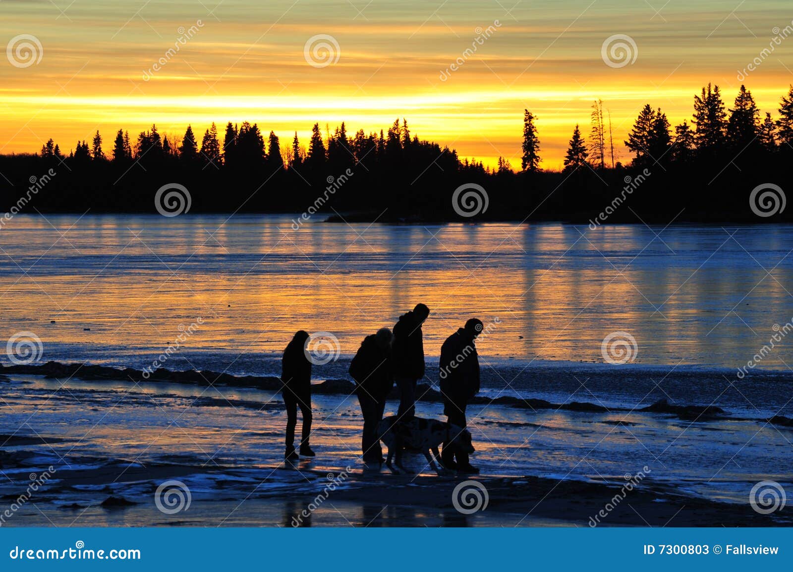 Family at sunset stock image. Image of scenic, forest - 7300803