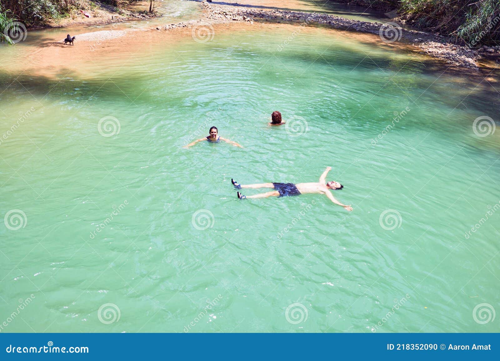 Family Swimming at the River Stock Photo - Image of expression, mother ...