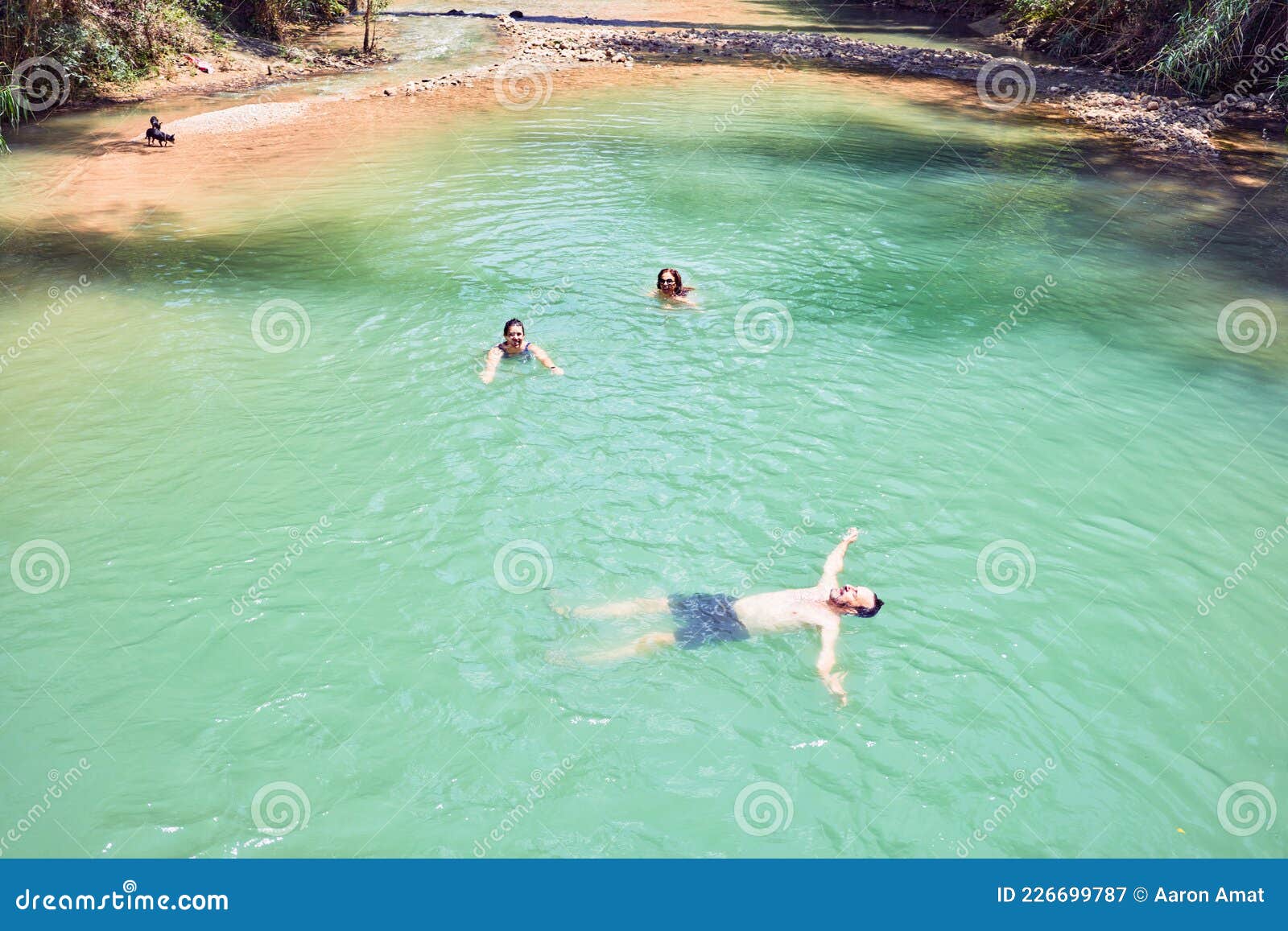 Family Swimming at the River Stock Image - Image of happy, love: 226699787