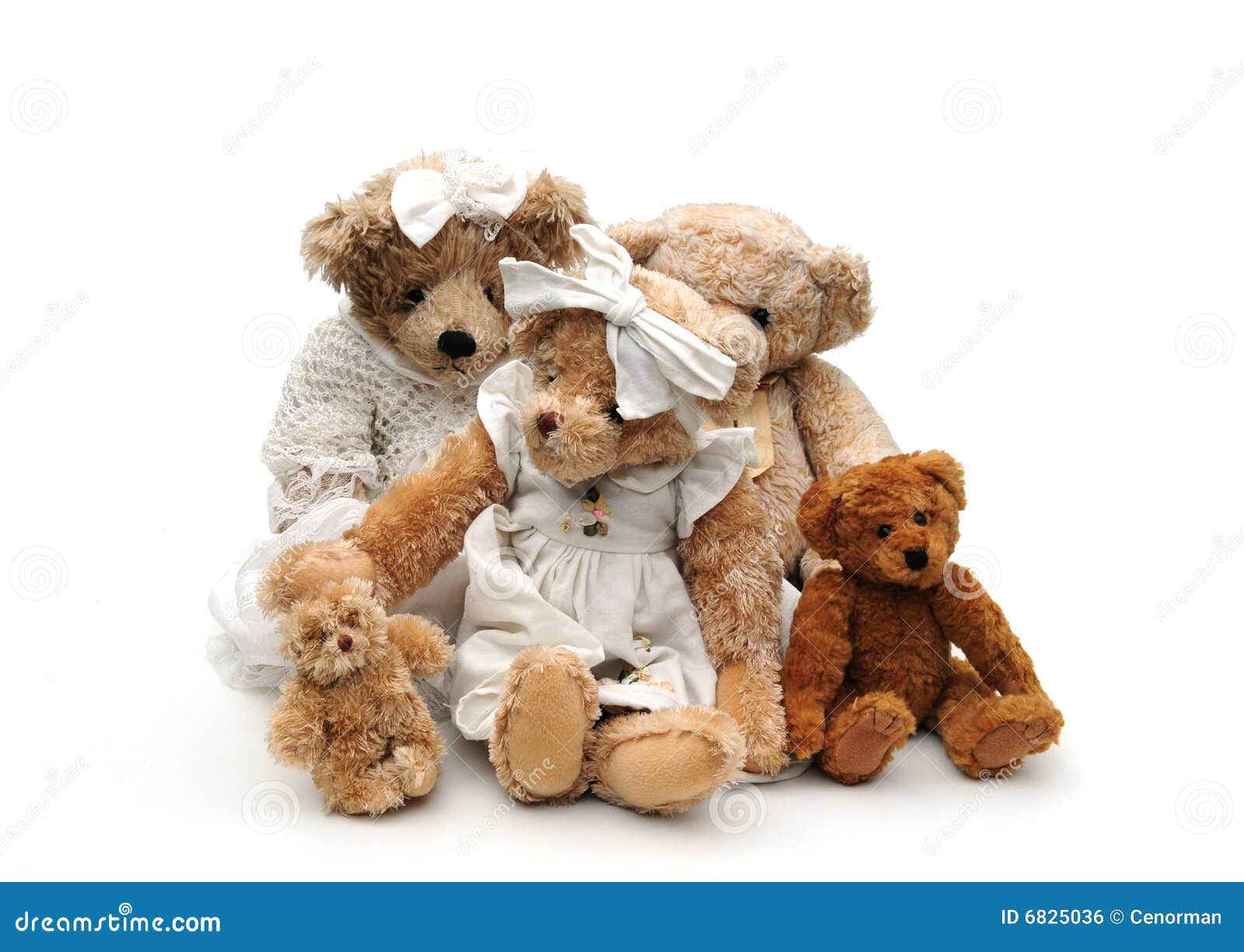 Family of teddies stock photo. Image of adorable, teddy - 6825036