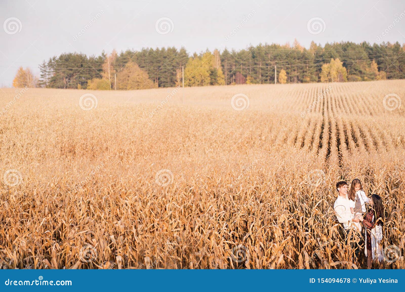 Family of Three Standing in a Corn Field Stock Photo - Image of midday ...