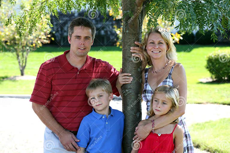 Family Tree stock photo. Image of parenthood, average - 3200686