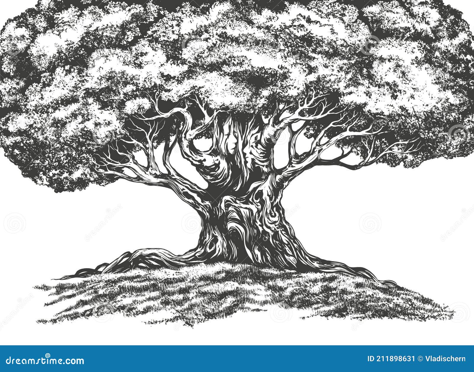 Family Tree Hand Drawn Vector Illustration Realistic Sketch Stock ...