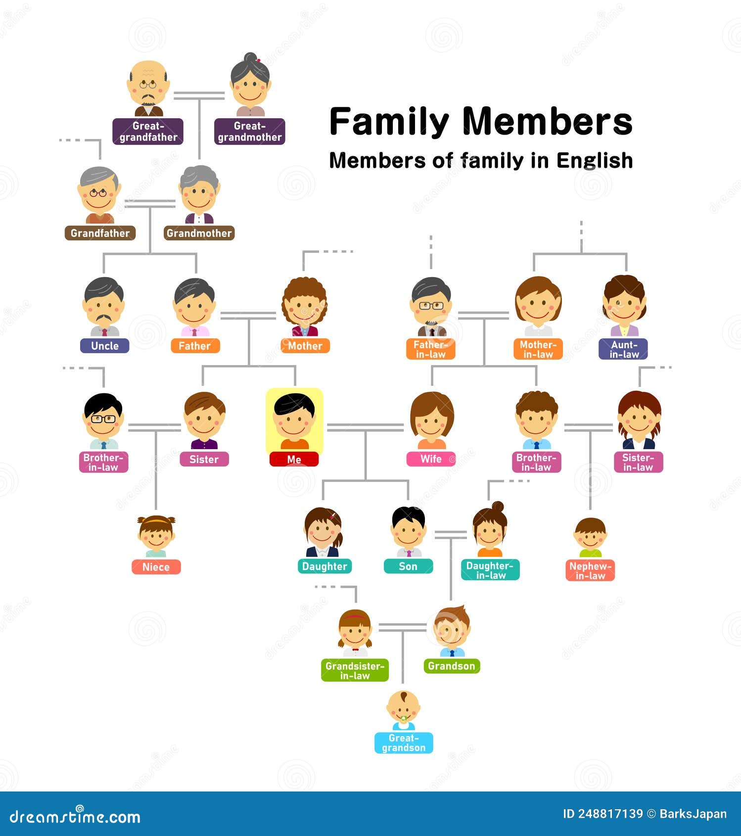 Family Tree Members of Family Vector Illustration Stock Vector ...