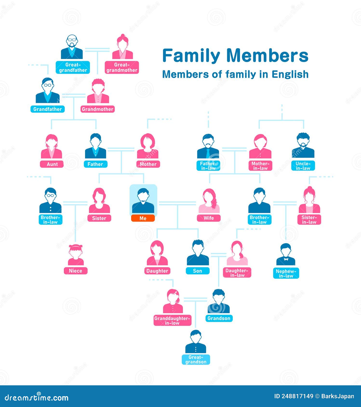 Family Tree Members of Family Vector Illustration Stock Vector ...