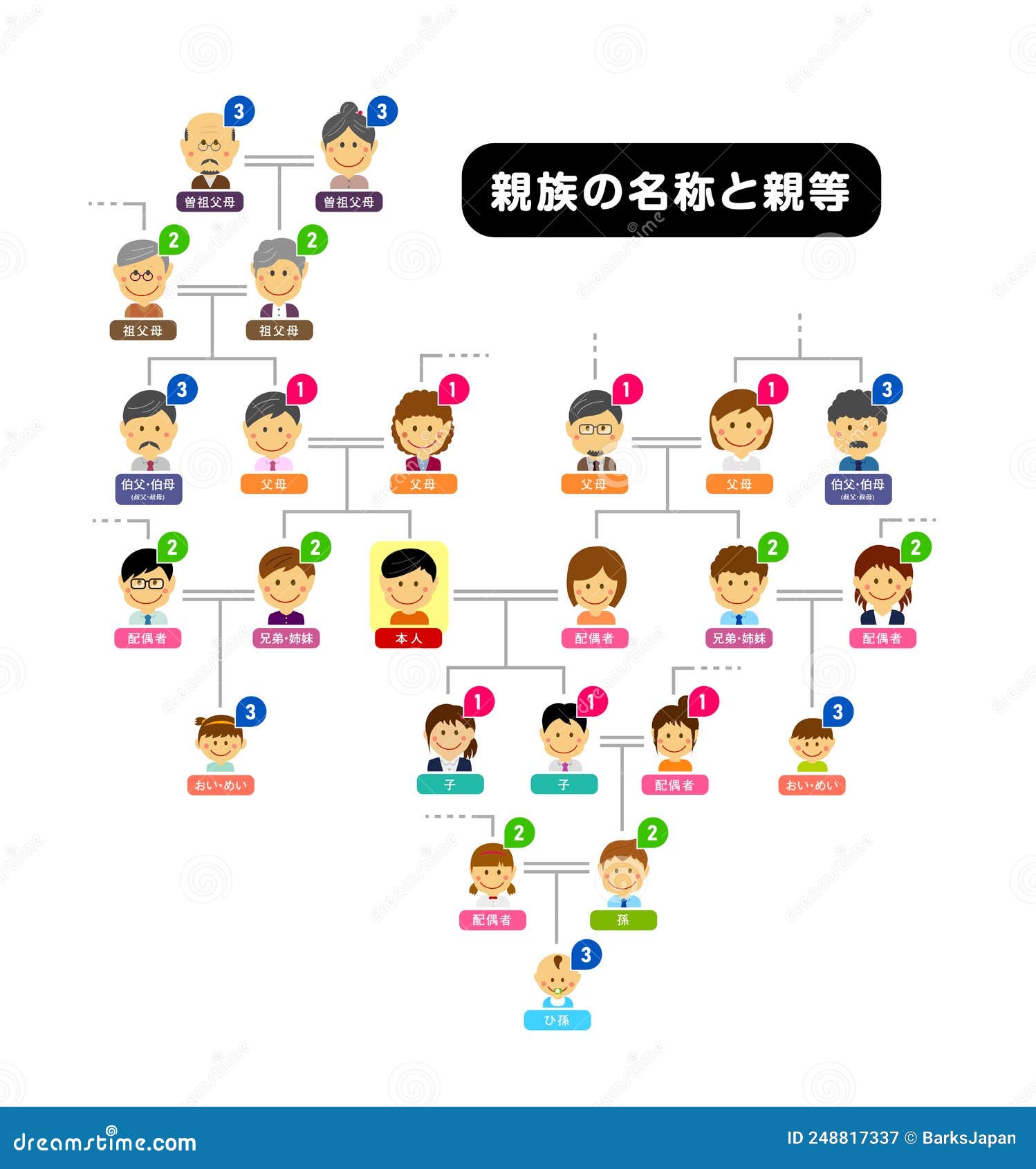 Family Tree Members of Family Vector Illustration Stock Vector ...