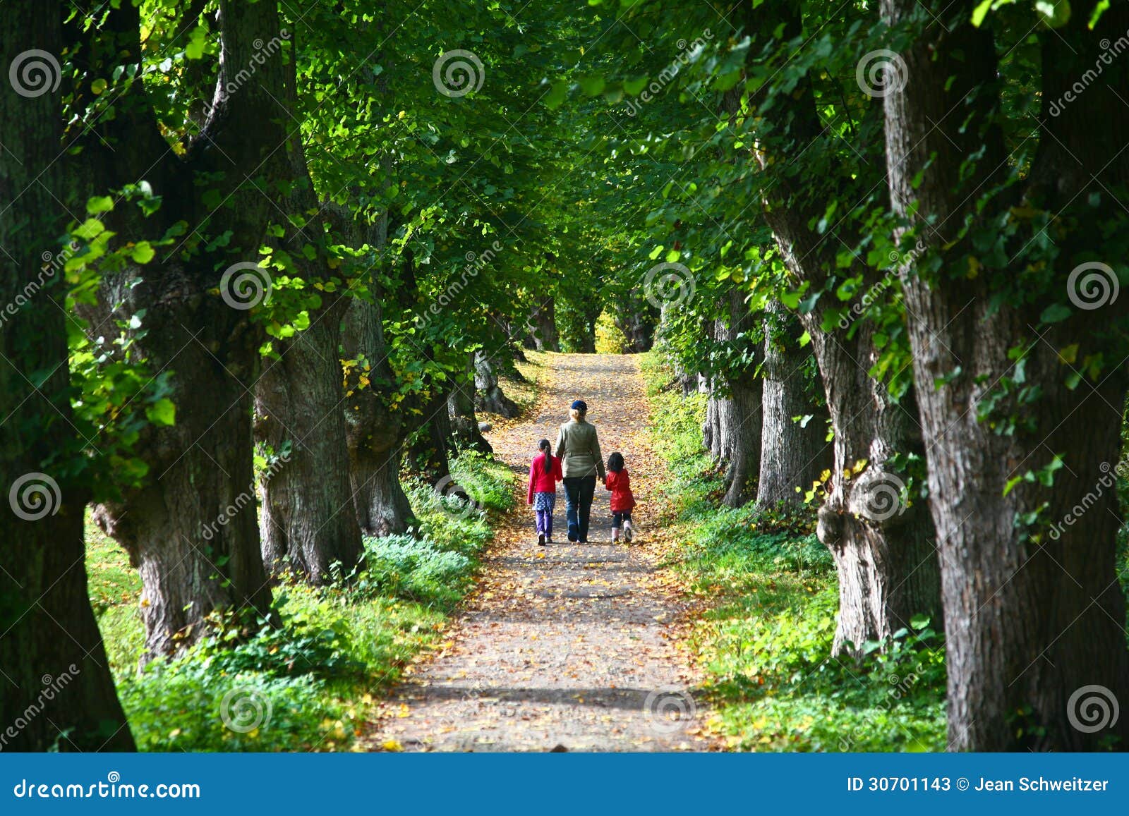 Family walk stock image. Image of path, tree, colorful - 30701143
