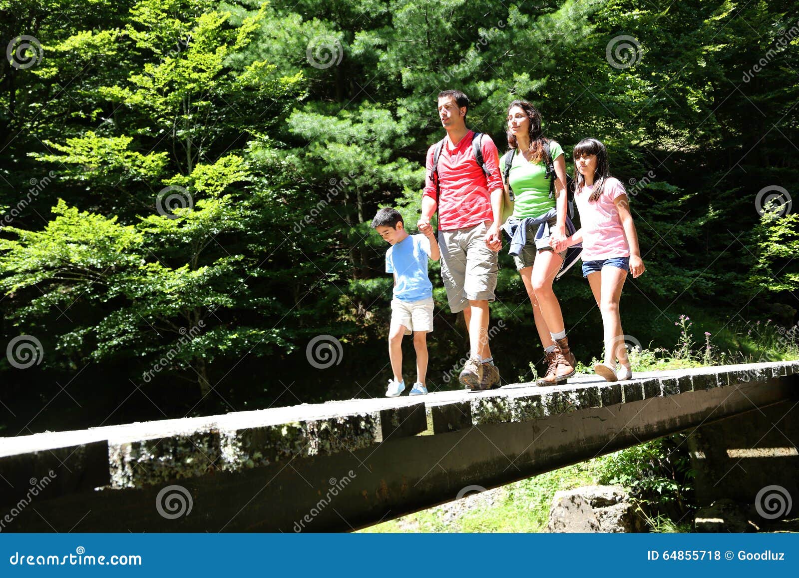 Family Walking on the Bridge in Forest Stock Photo - Image of ...