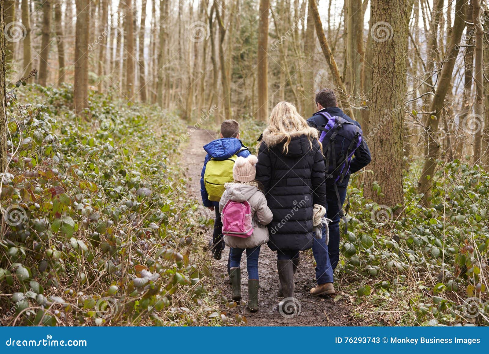 Family Walking Together through a Wood, Back View Stock Image - Image ...