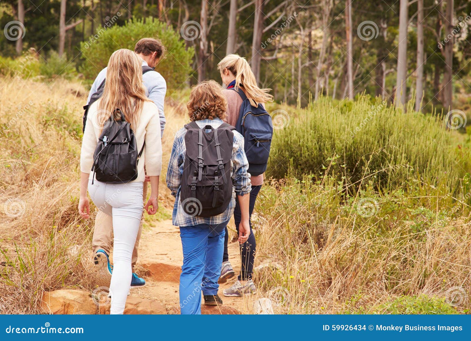 Family Walking on a Trail into a Forest, Back View Stock Photo - Image ...