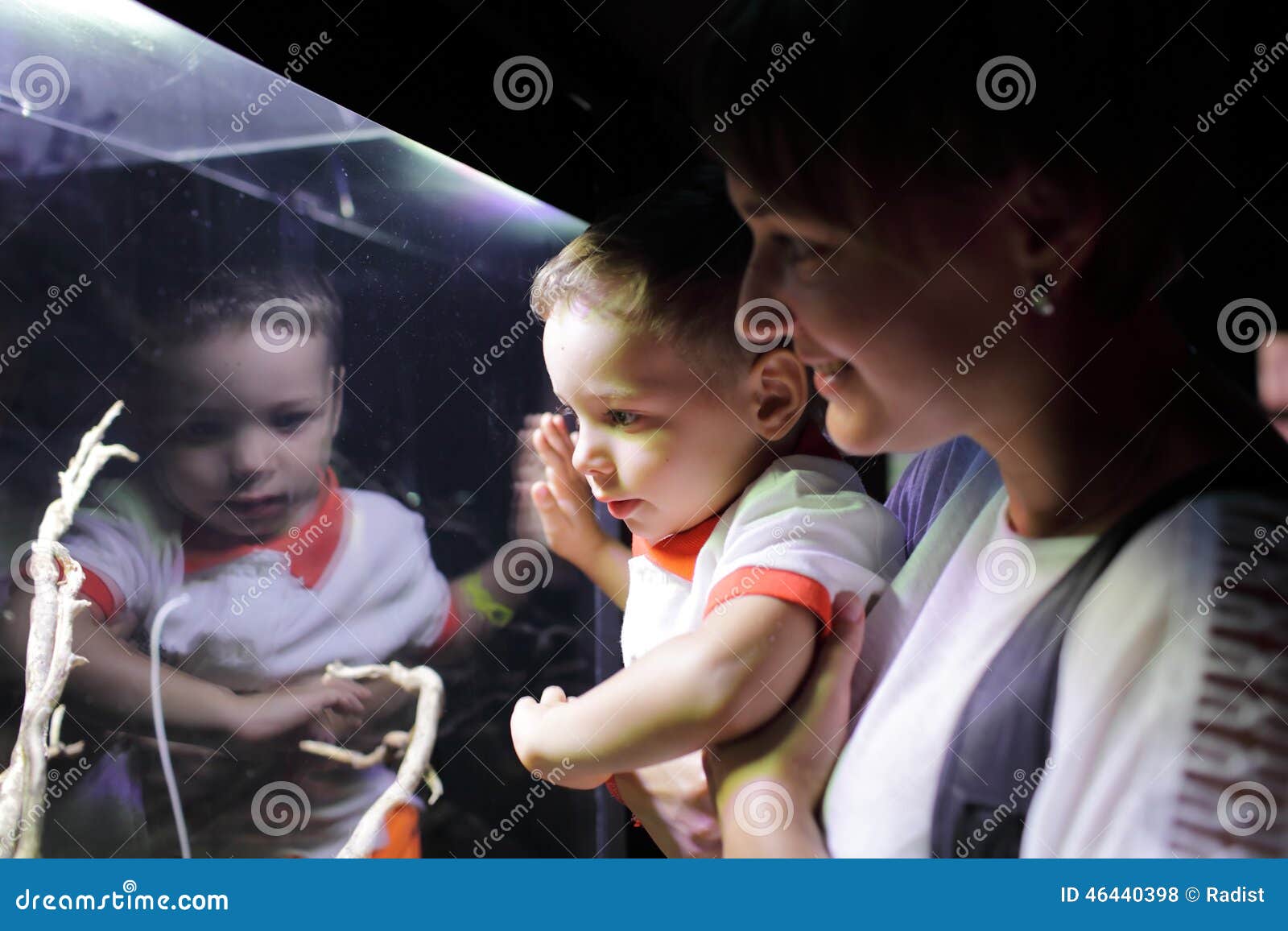 Family watching insects stock photo. Image of people - 46440398