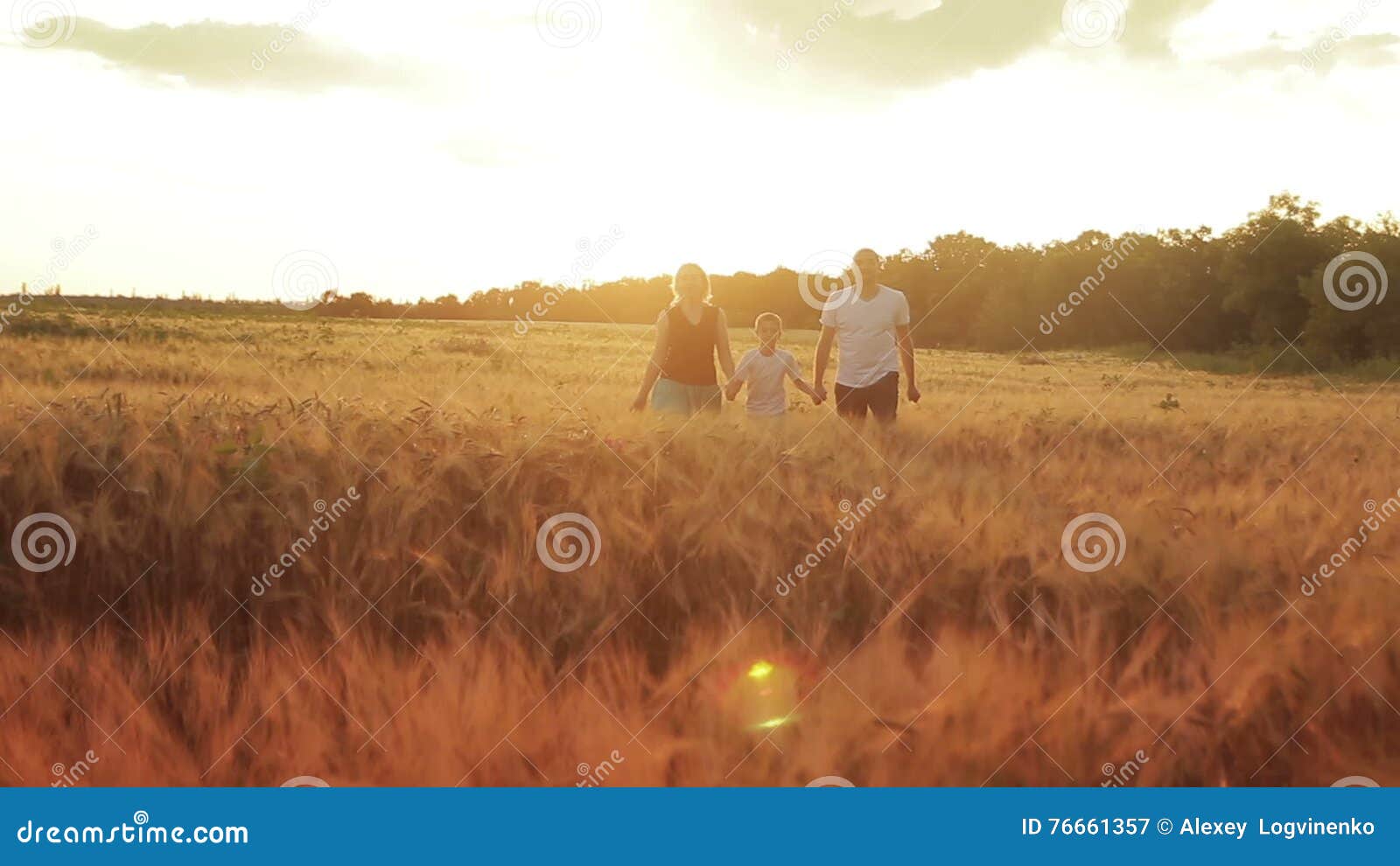 Family in Wheat Field at Sunset Stock Video - Video of hand, farmer ...