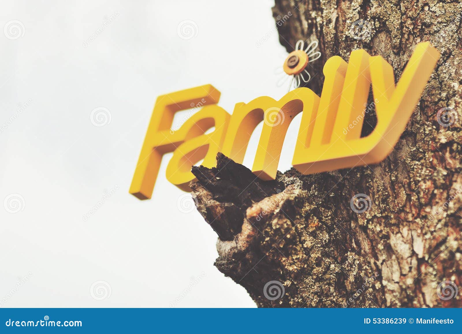Family Word Painted in Yellow Hanging on Tree Stock Image - Image of ...