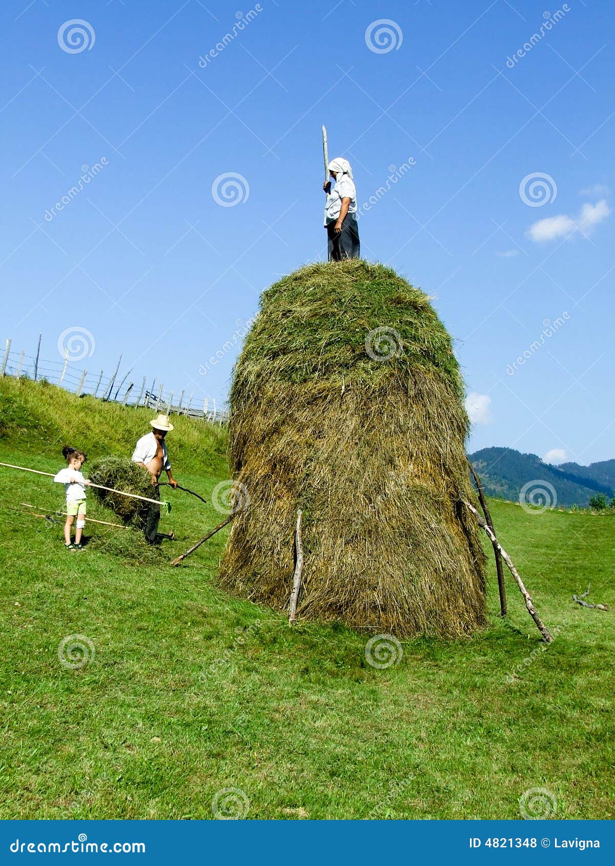 Family Working stock photo. Image of father, outdoors - 4821348
