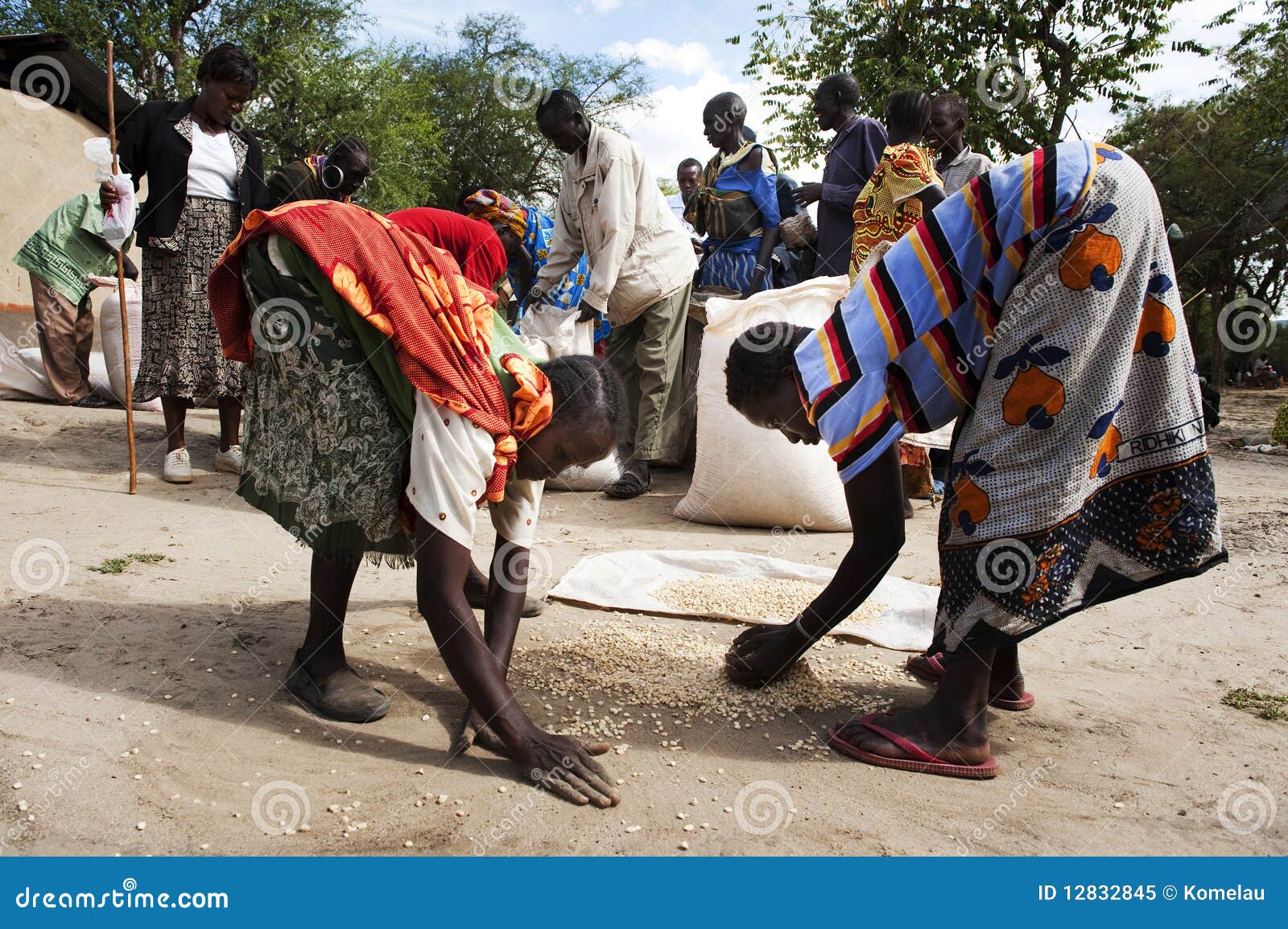Famine editorial image. Image of death, plant, crop, healthy - 12832845