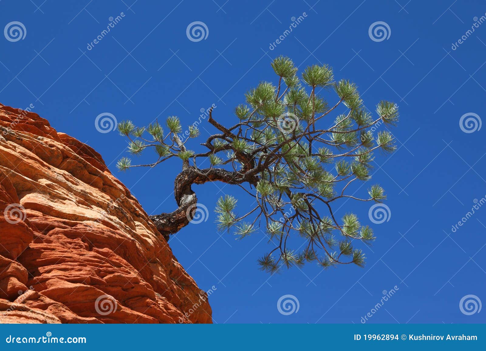 The famous stock photo. Image of equipment, outdoors - 19962894