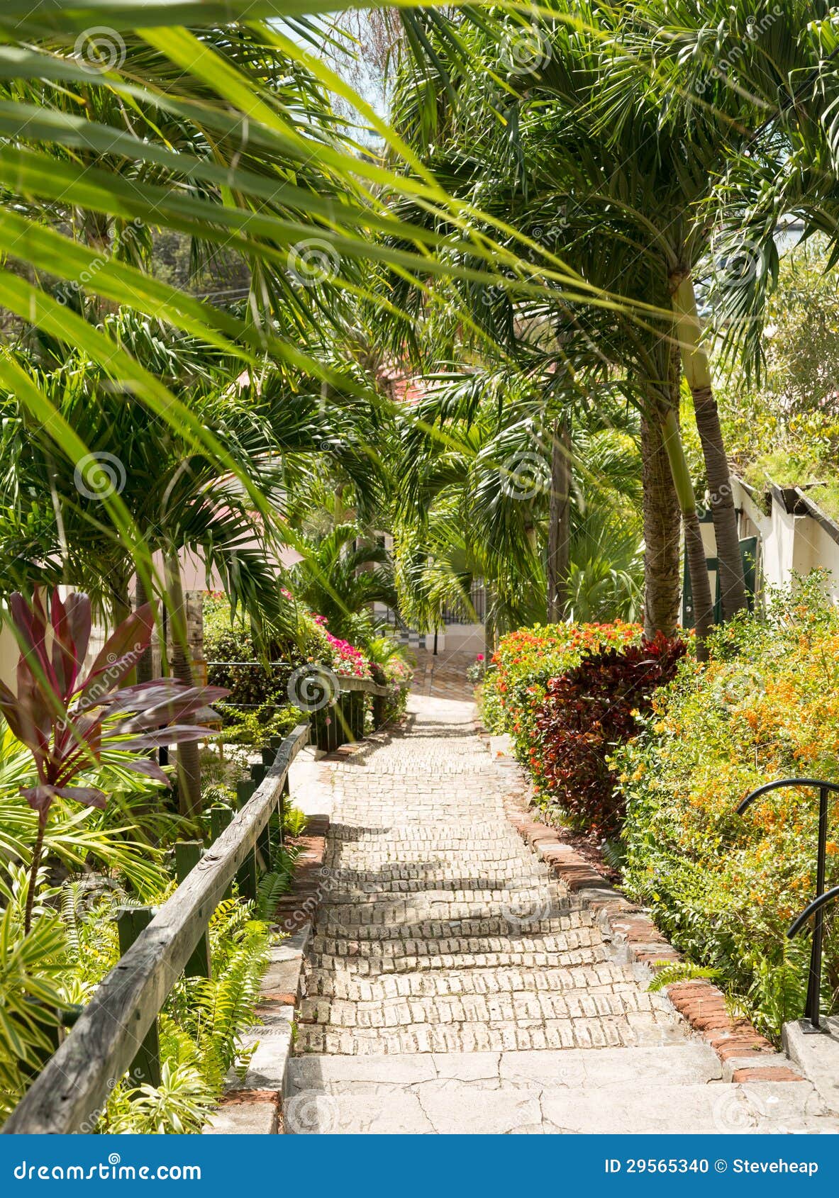 Famous 99 Steps Charlotte Amalie Stock Photo - Image of focus ...