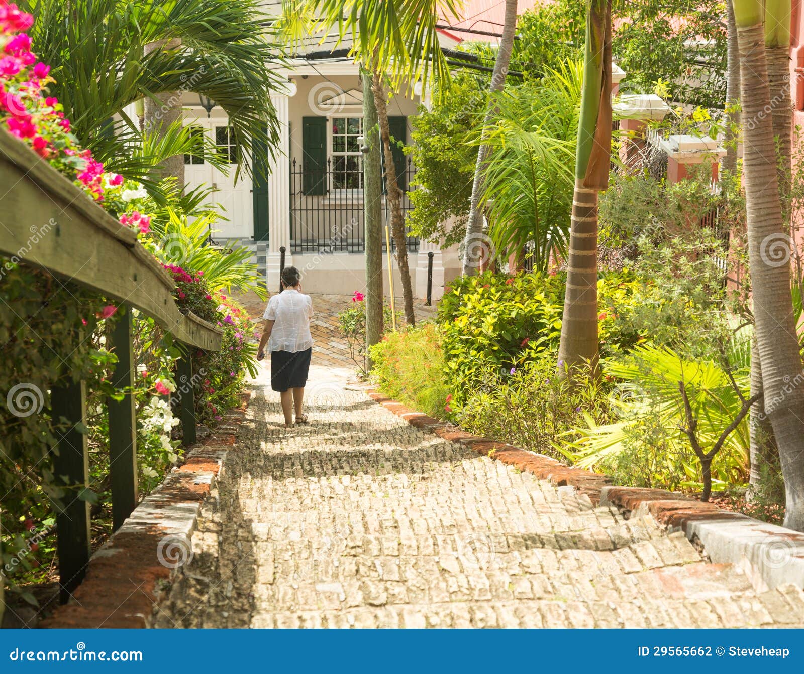 Famous 99 Steps Charlotte Amalie Stock Photo - Image of islands, lady ...