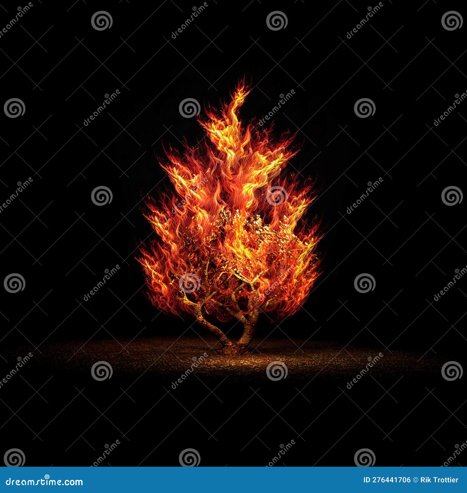 Moses At Burning Bush Tree Gods Presence Royalty-Free Stock Photo ...
