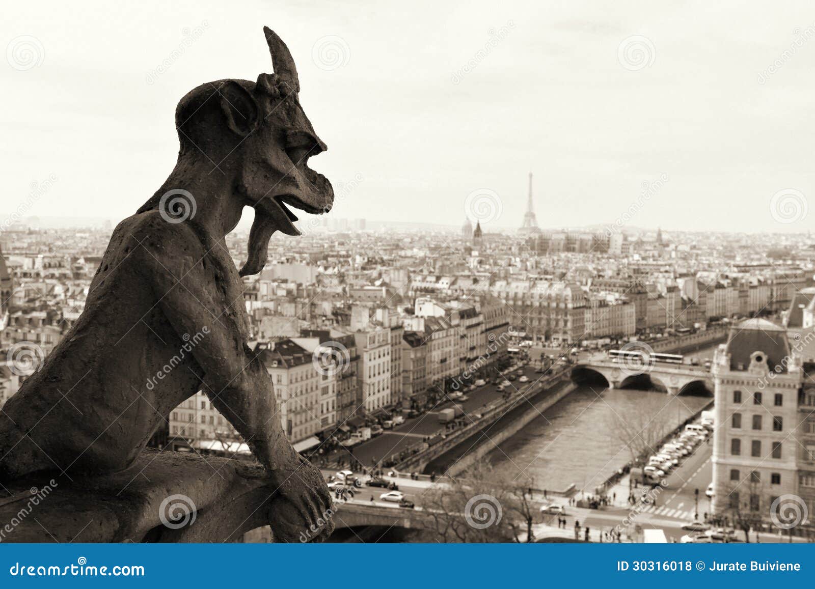 Notre Dame,Paris. stock photo. Image of statue, chimera - 30316018