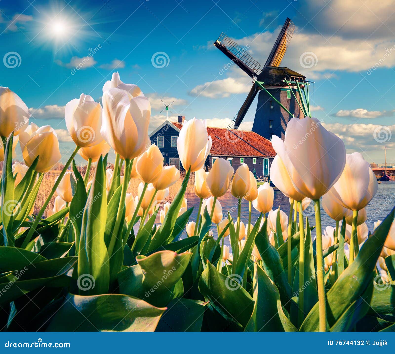 The famous Dutch windmills stock photo. Image of land - 76744132