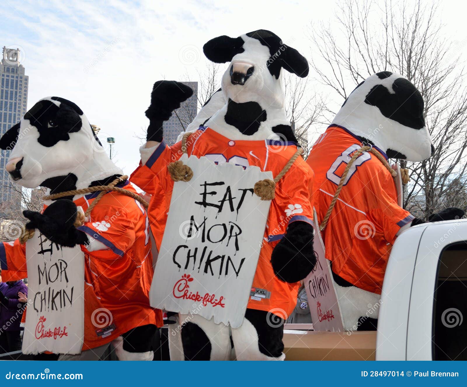 Famous Eat Mor Chikin cows editorial stock image. Image of cows - 28497014
