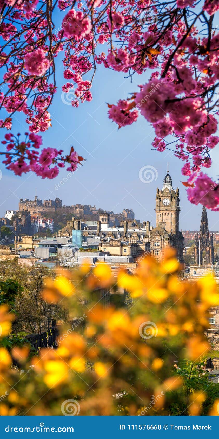 View of Old Town Edinburgh with Spring Trees in Scotland Stock Photo ...