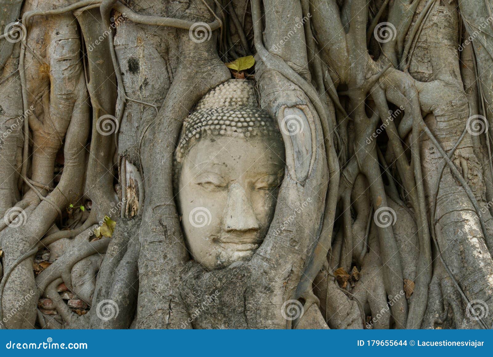 The famous face of buddha stock photo. Image of temple - 179655644